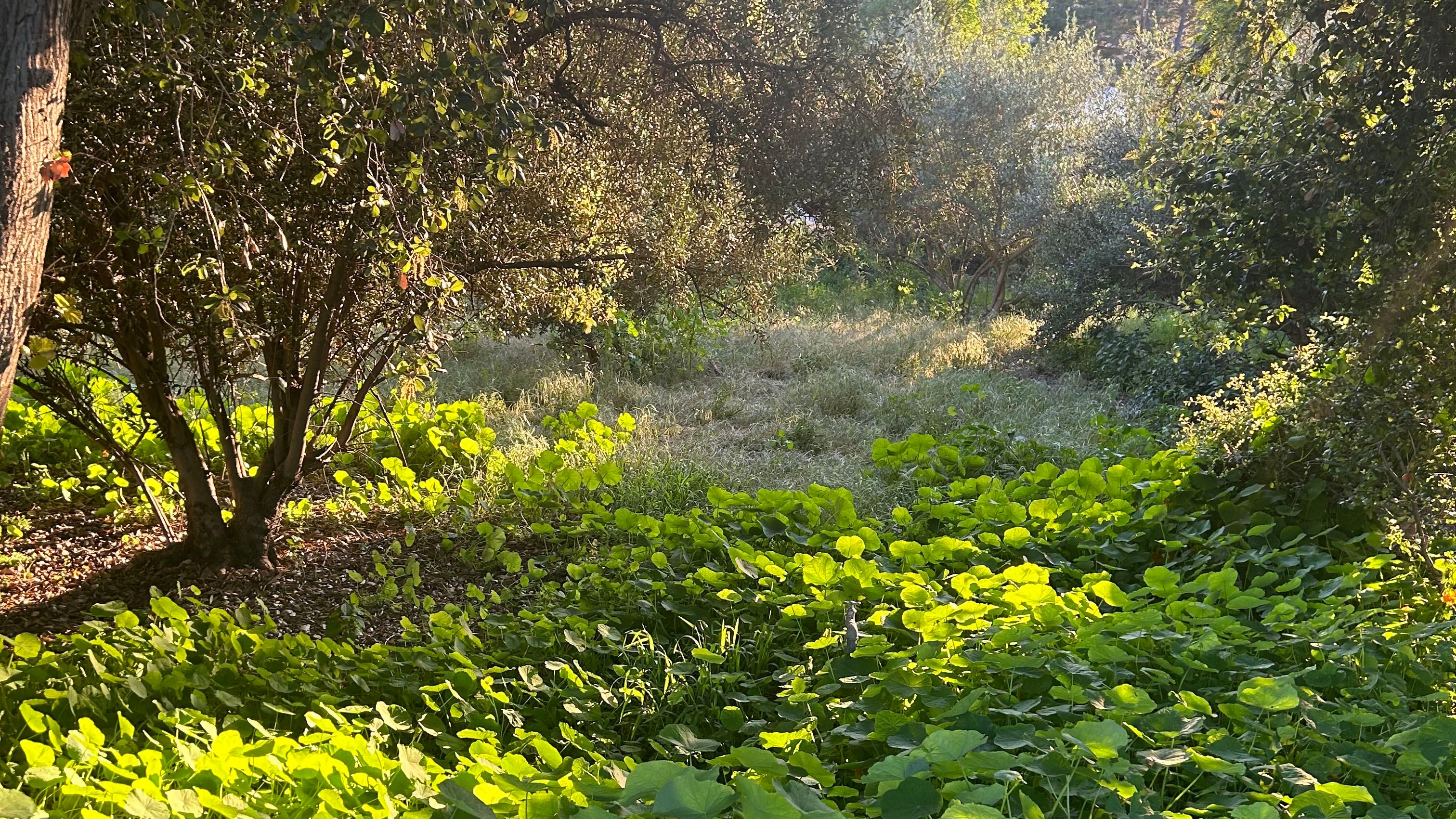 Madison E. Goldberg | ScreenRant