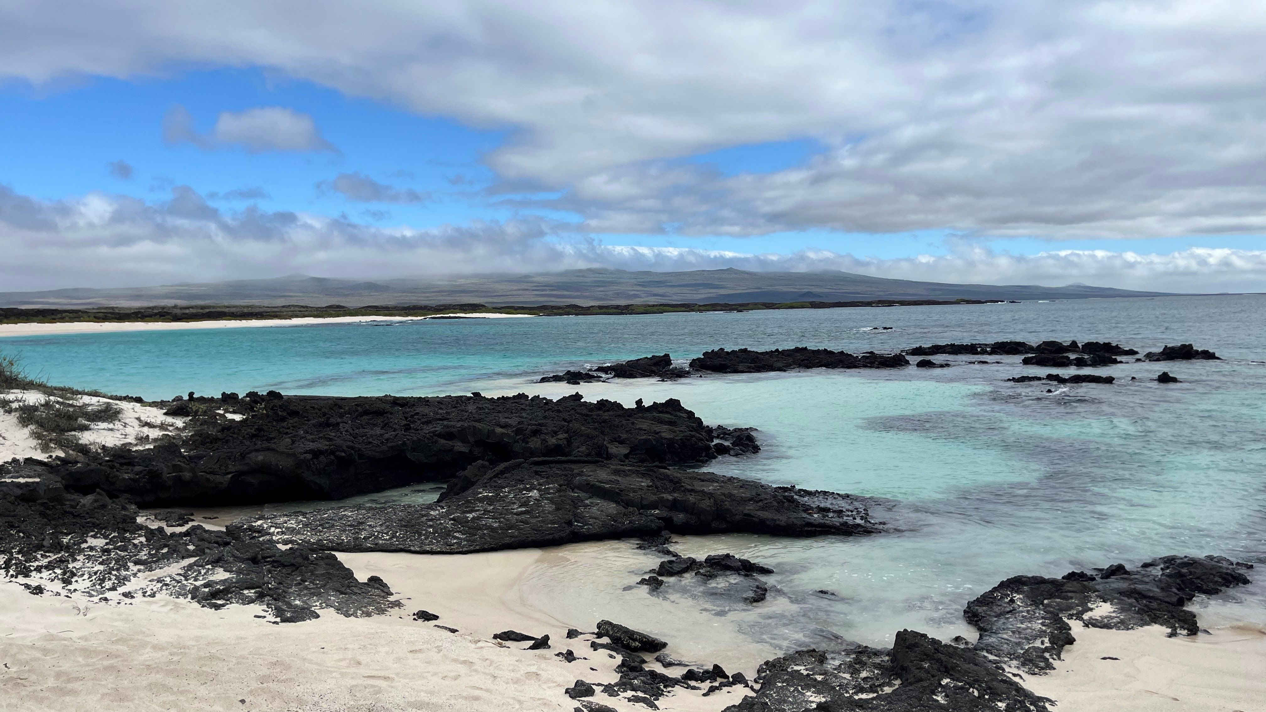 Lee Benzinger | ScreenRant