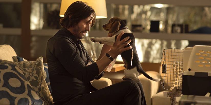 Excommunicado: 10 Behind-The-Scenes Facts About The John Wick Movies