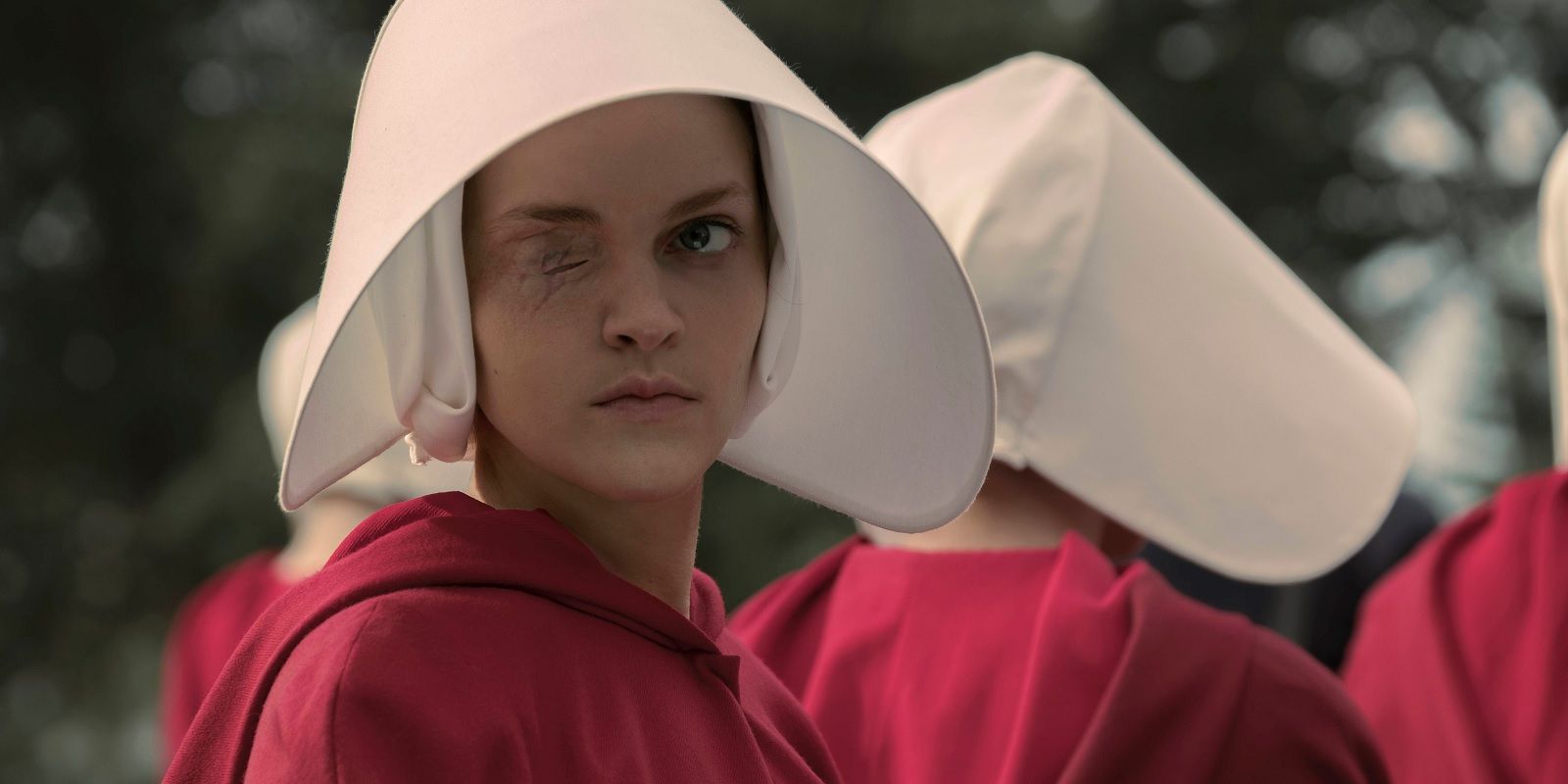 The Handmaid's Tale Character Guide