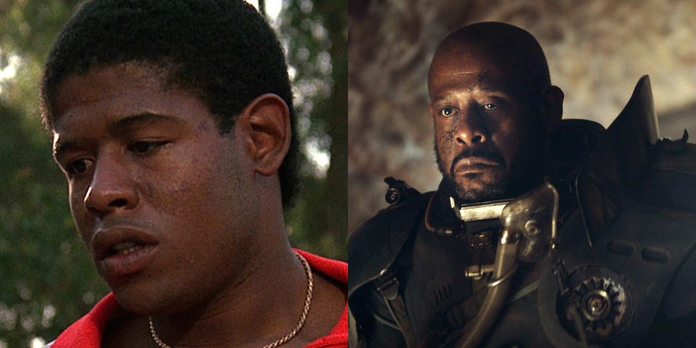 Where Are They Now? The Cast Of Fast Times At Ridgemont High (2022)