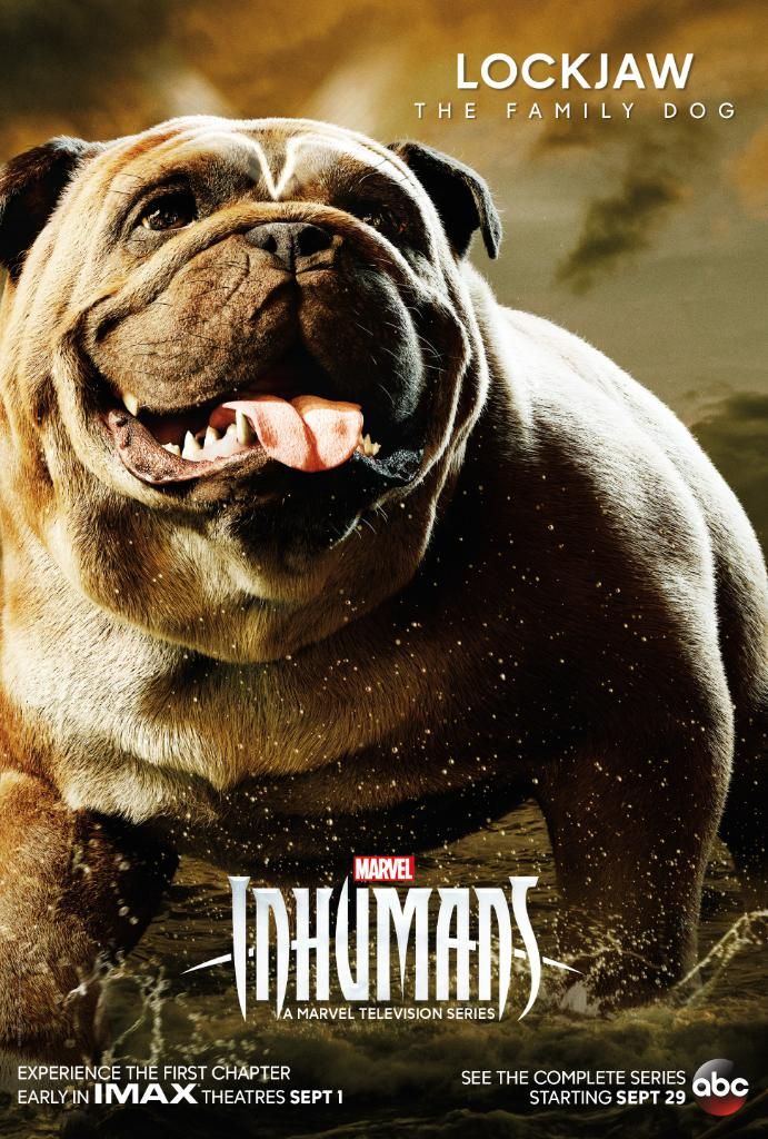 Inhumans: Marvel Releases New Lockjaw Poster