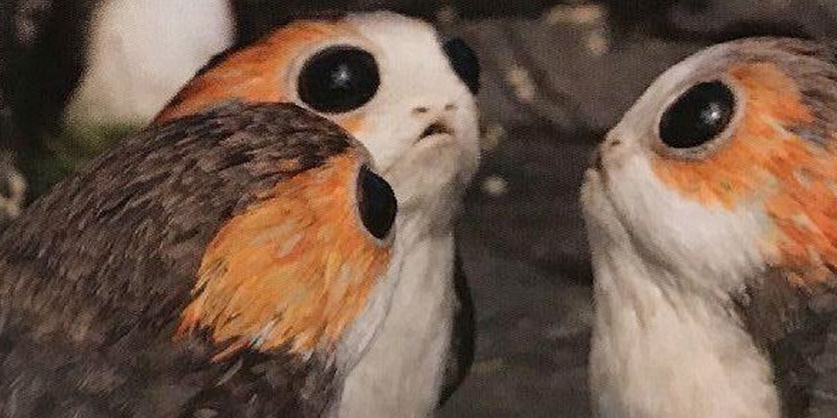 Star Wars: Things You Didn't Know About Porgs
