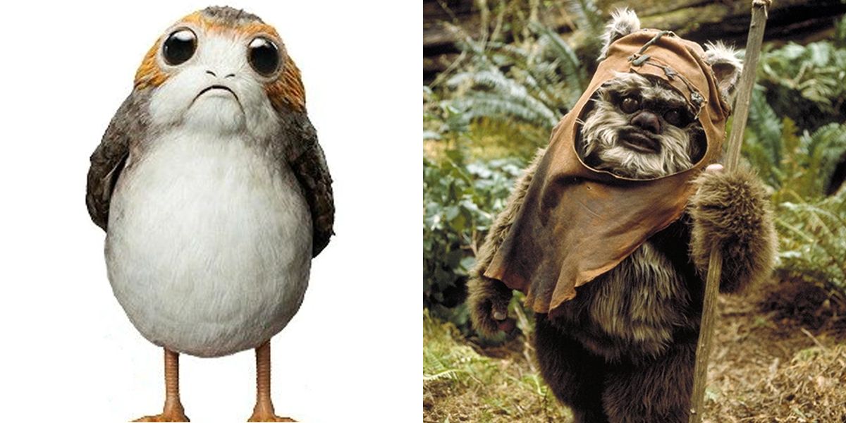 Star Wars: Things You Didn't Know About Porgs