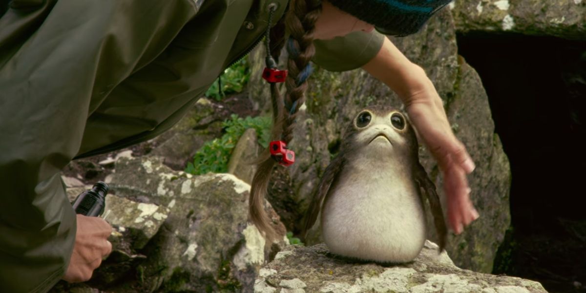 Star Wars: Things You Didn't Know About Porgs