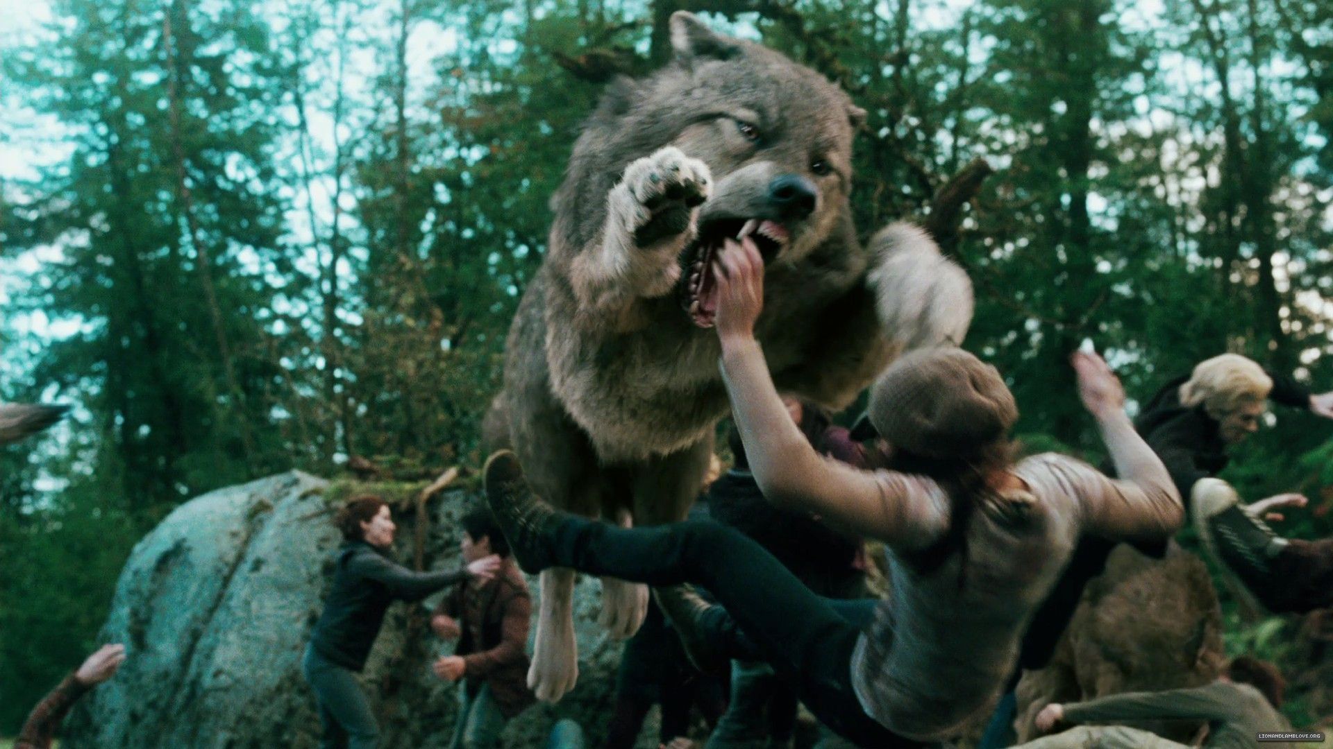15 Things That Show The Twilight Movies Make No Sense