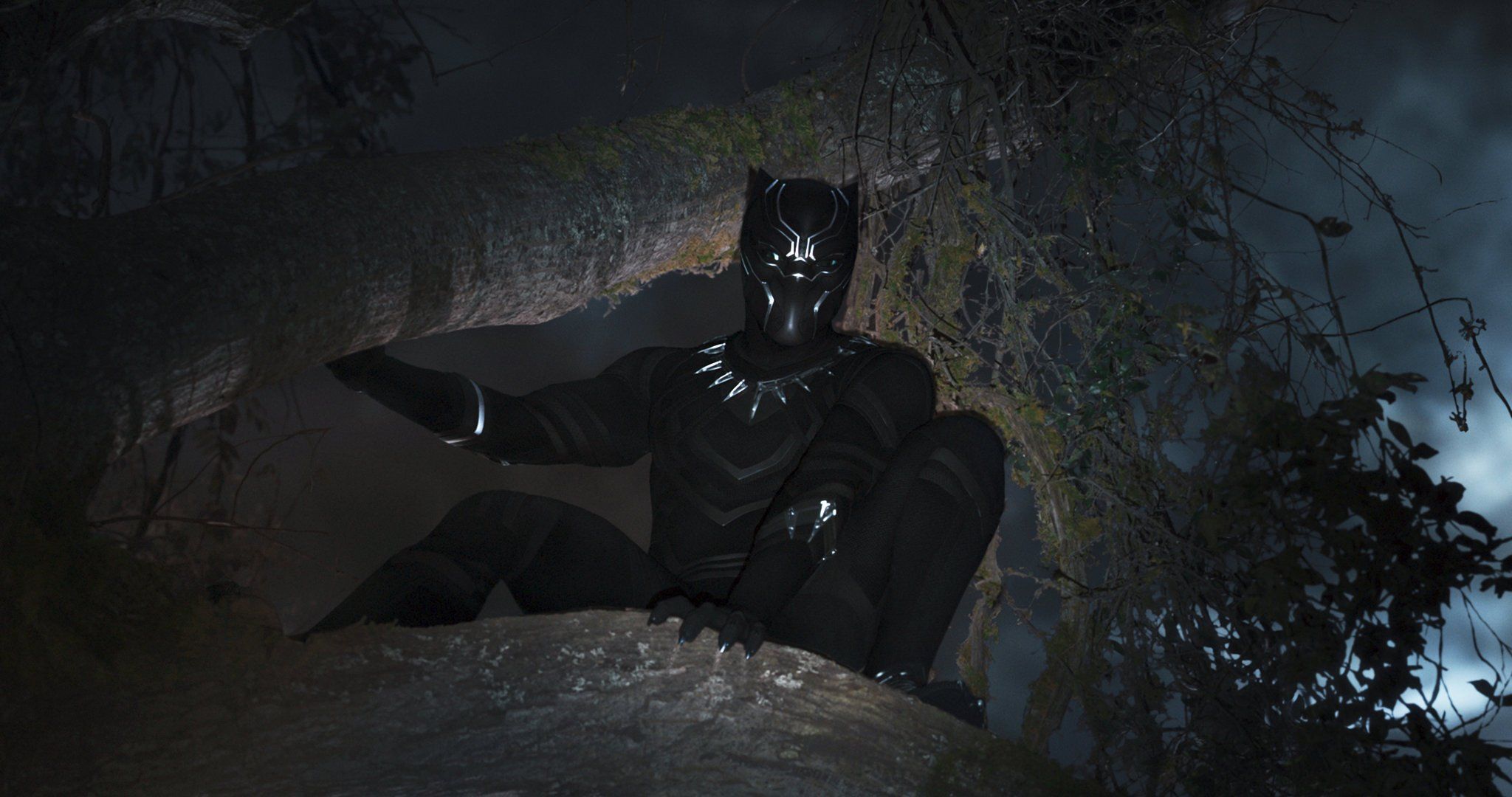 15 Things Only True Fans Know About Black Panther's Body