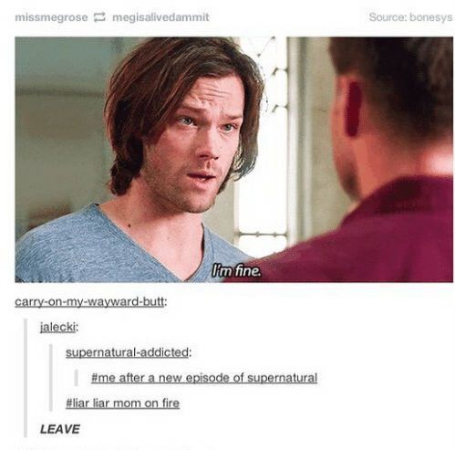 Supernatural: 25 Sam Vs Dean Memes That Make Fans Choose