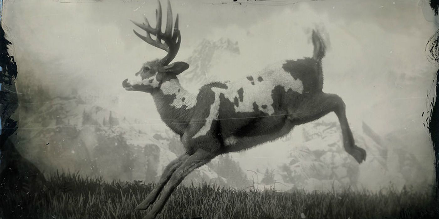 Red Dead Redemption 2 Legendary Animal Locations & Requirements