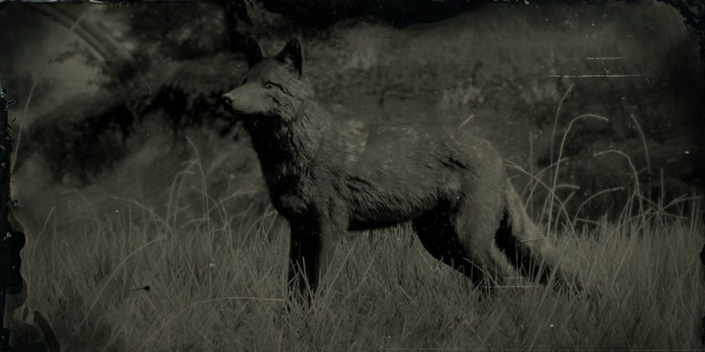 Red Dead Redemption 2 Legendary Animal Locations & Requirements