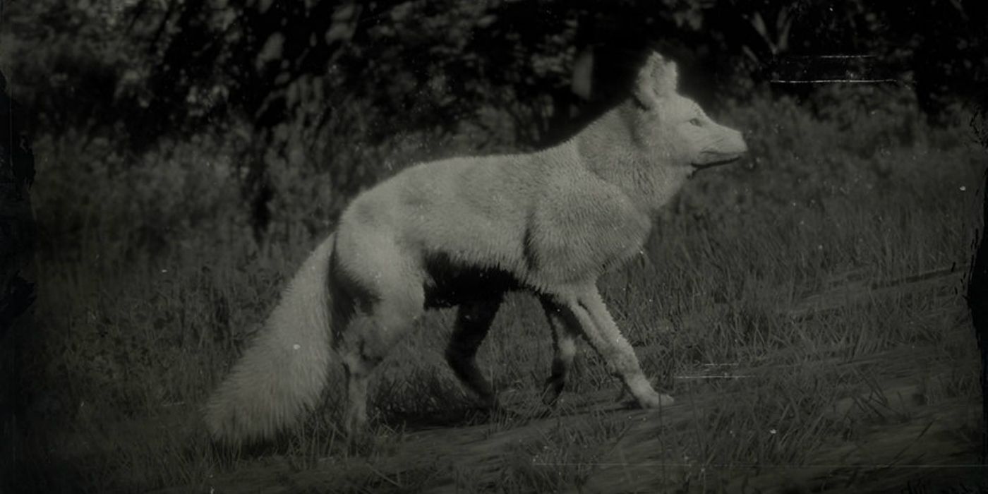 Red Dead Redemption 2 Legendary Animal Locations & Requirements