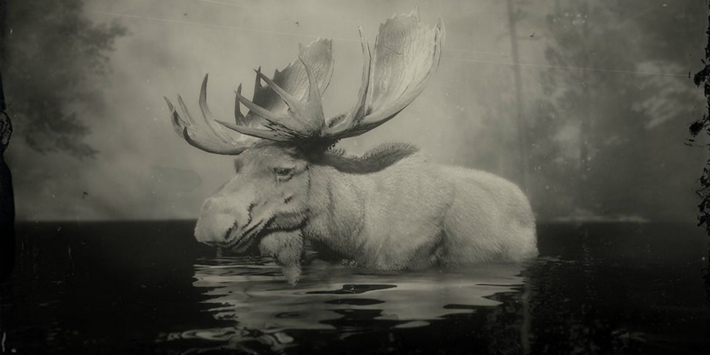 Red Dead Redemption 2 Legendary Animal Locations & Requirements