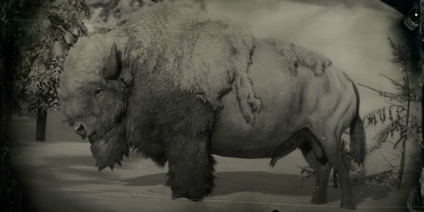 Red Dead Redemption 2 Legendary Animal Locations & Requirements