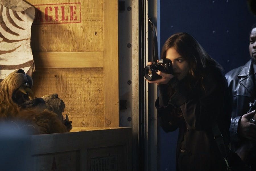 Titans Reveals First Look At DC Universe's Donna Troy