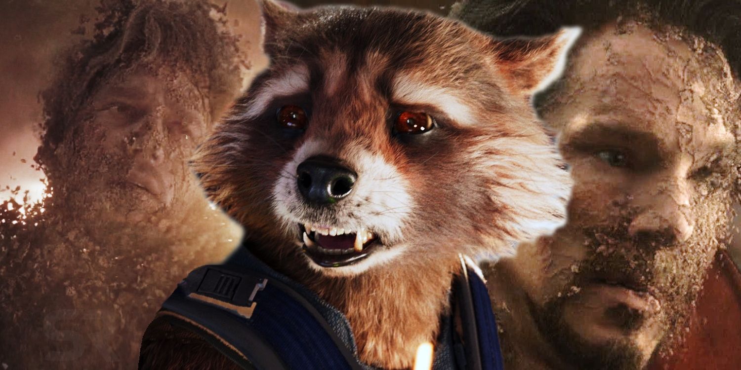 Will Rocket Raccoon Take The Blame For Infinity War?
