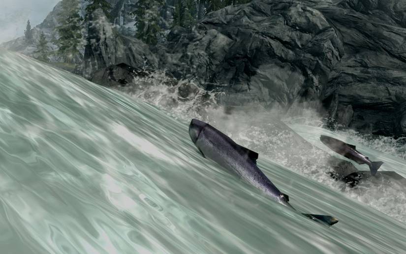 Skyrim Fishing Guide: Best Rods, Rare Fish, & Maps