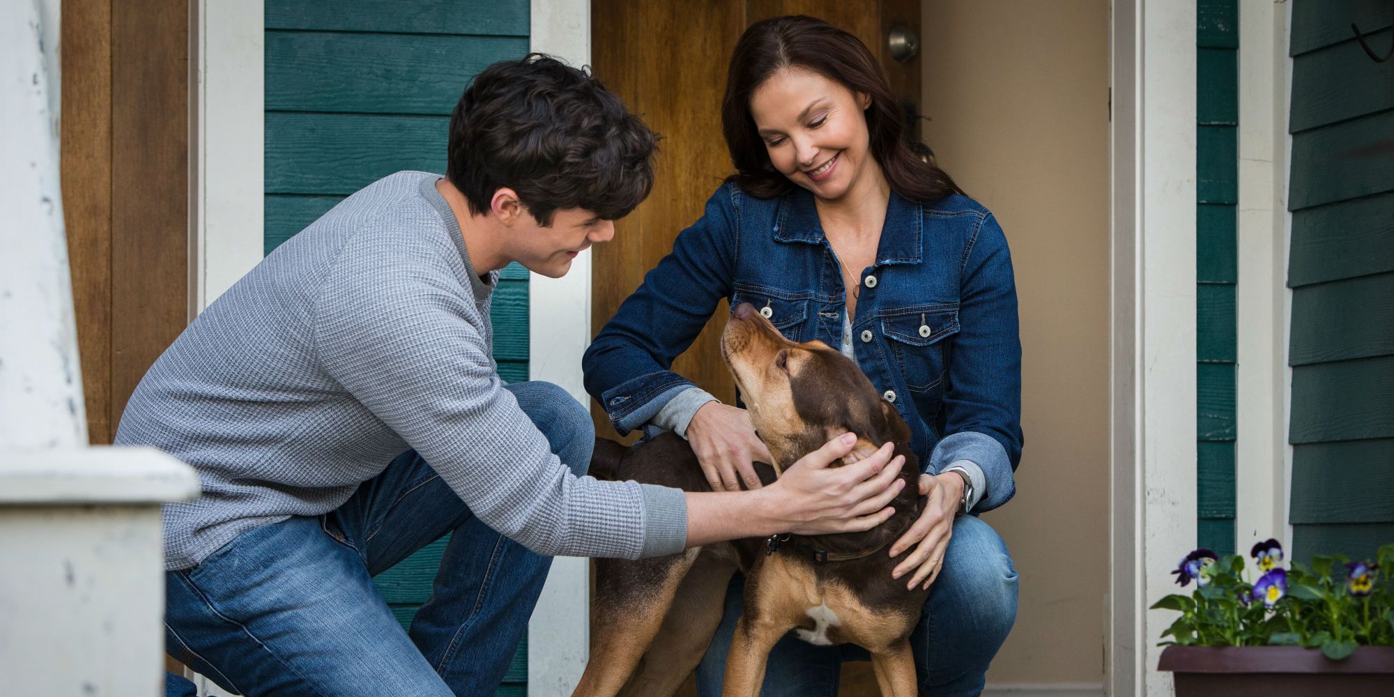 A Dog's Way Home Movie Review