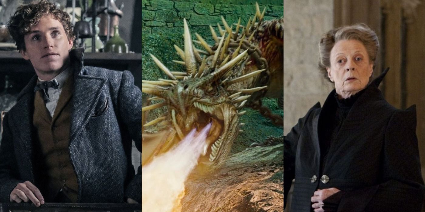 Harry Potter: The 15 Best Careers After Hogwarts