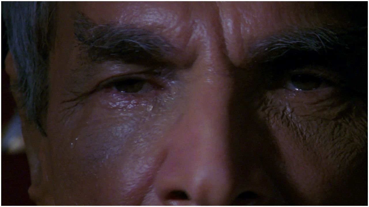 Star Trek: 30 Weird Things About Vulcan Anatomy