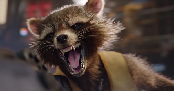 Rocket Raccoon: 10 Off-Set Facts About The Making Of This Character In ...