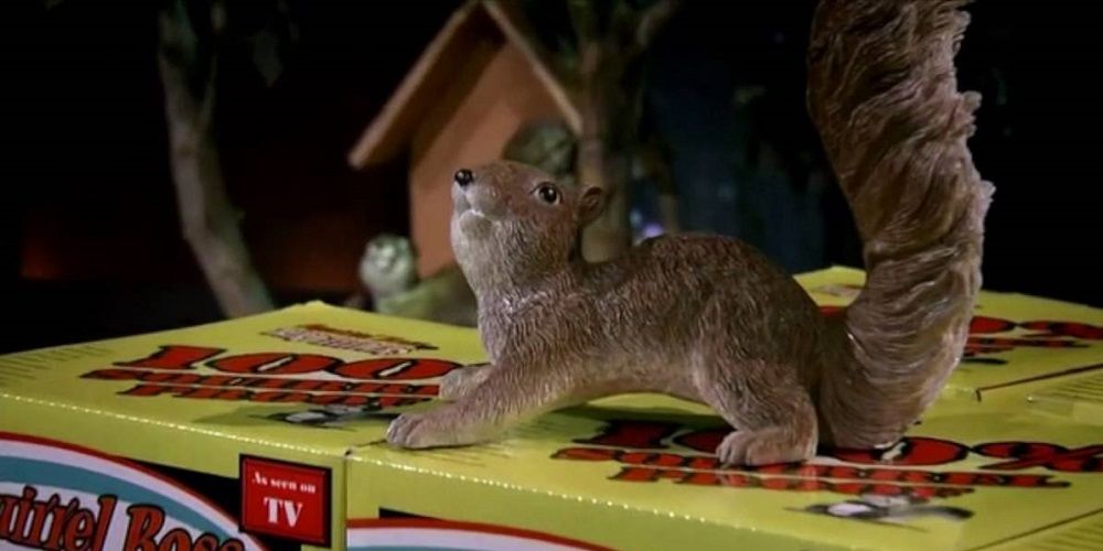 Squirrel Eaten Shark