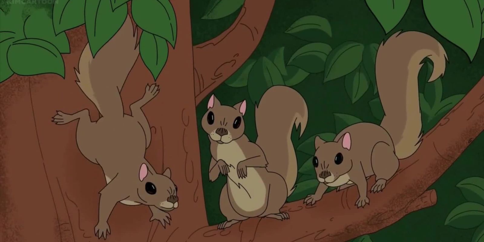 Rick & Morty: The Squirrel Universe & Secret Plan Explained