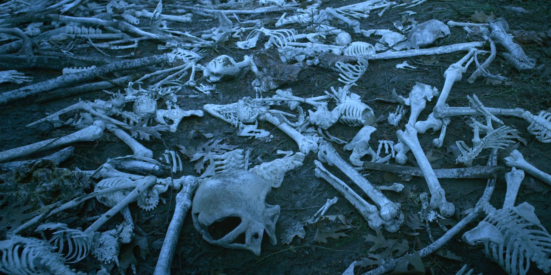 Another Life Season 1's Ending Explained