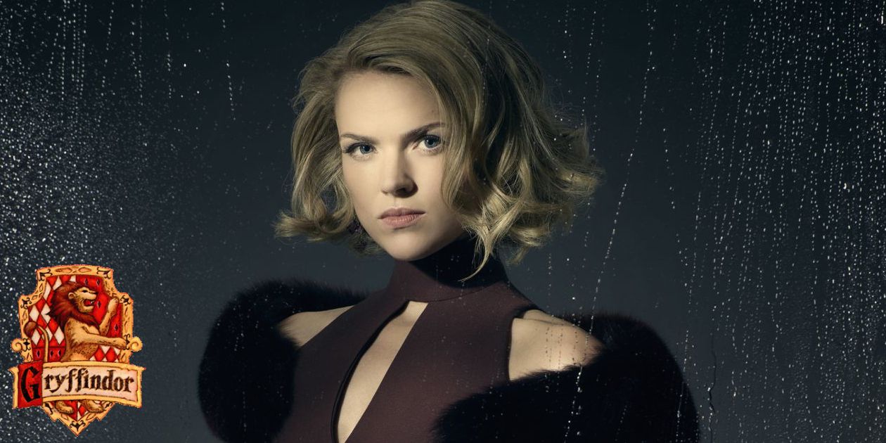 Gotham Characters Sorted Into Hogwarts Houses