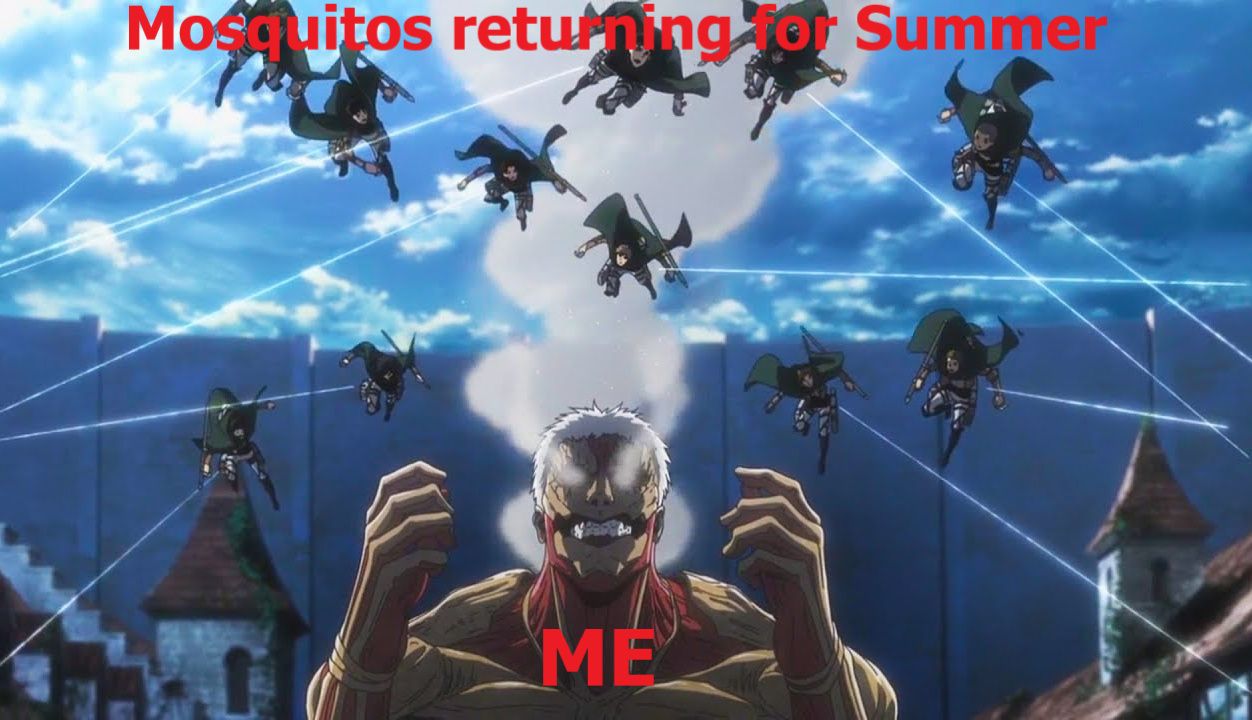 10 Hilarious Attack On Titan Memes Only True Fans Will Love