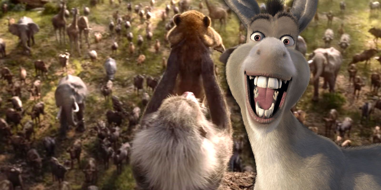 Man & Donkey Sing The Lion King's Circle of Life Song, Go Viral