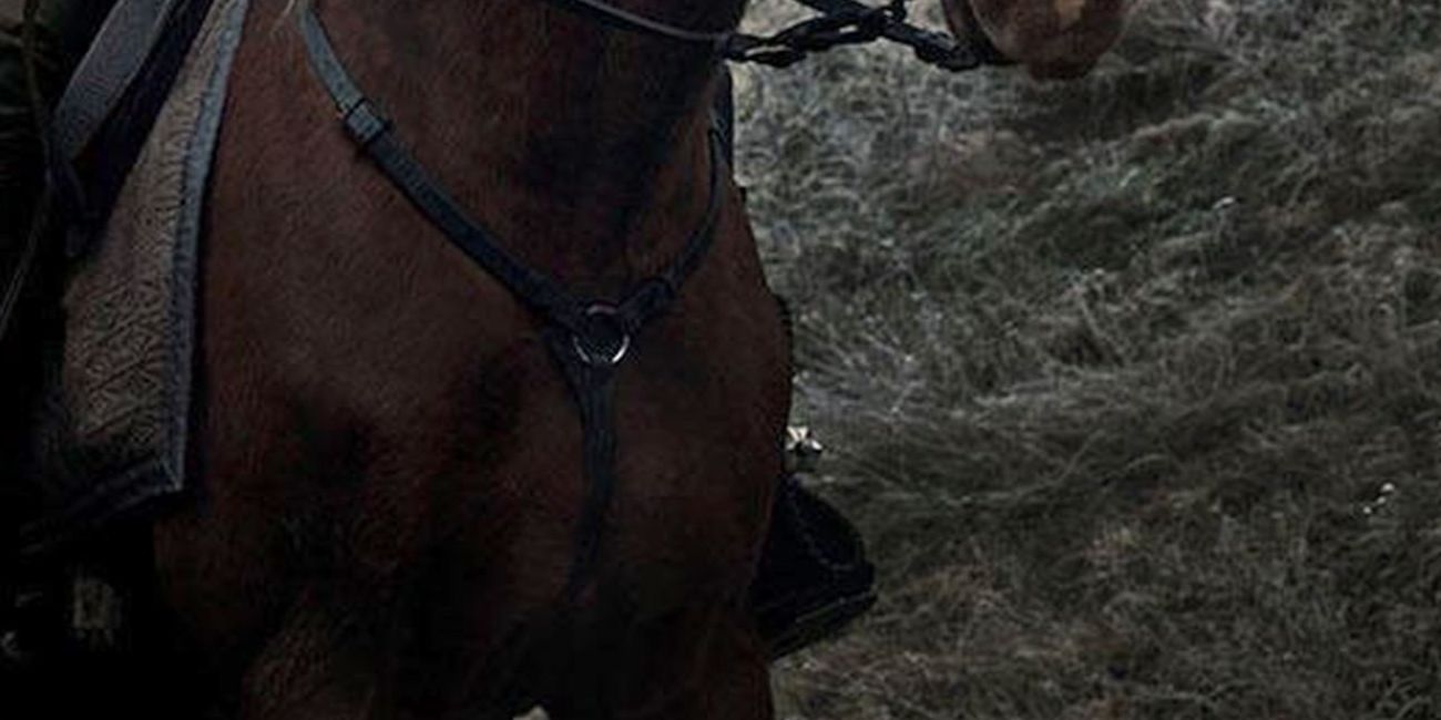 The Witcher's Silver Sword Confirmed in New Image