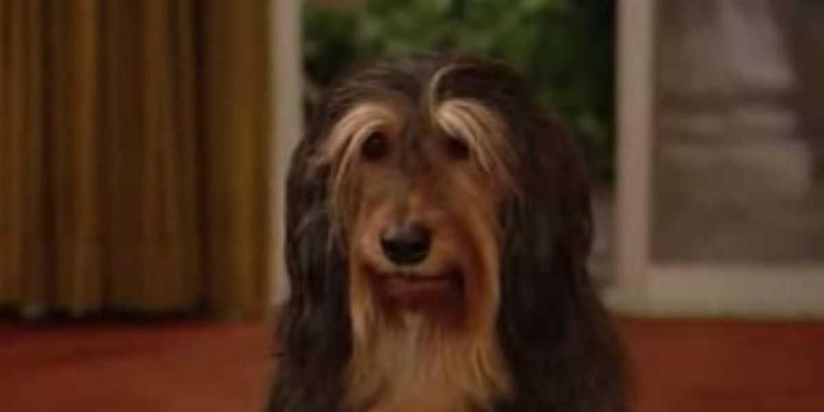 Married With Children: The 5 Best Episodes (& 5 Worst)