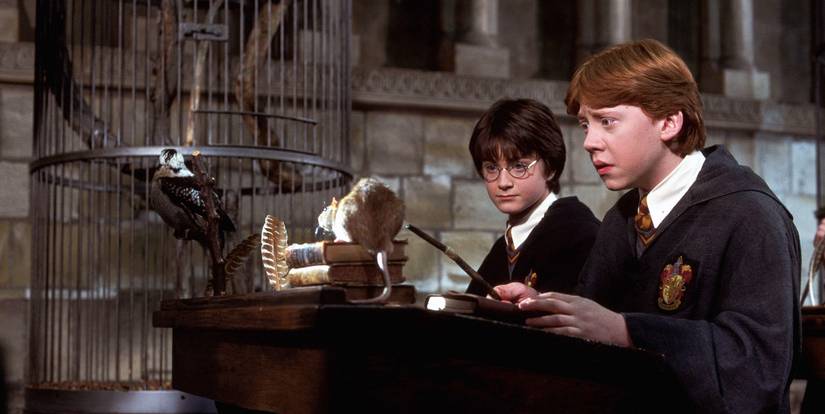 Harry Potter: Everything You Need to Know About Peter Pettigrew