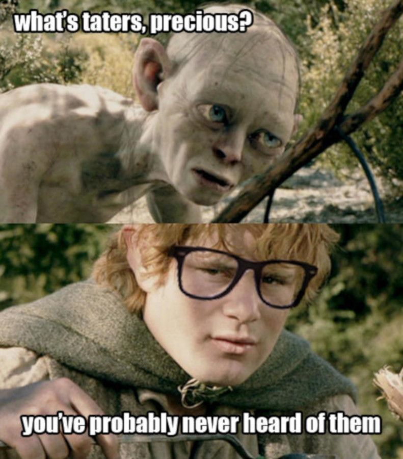 The Lord Of The Rings: 10 Hilarious Frodo & Sam Logic Memes That Are ...