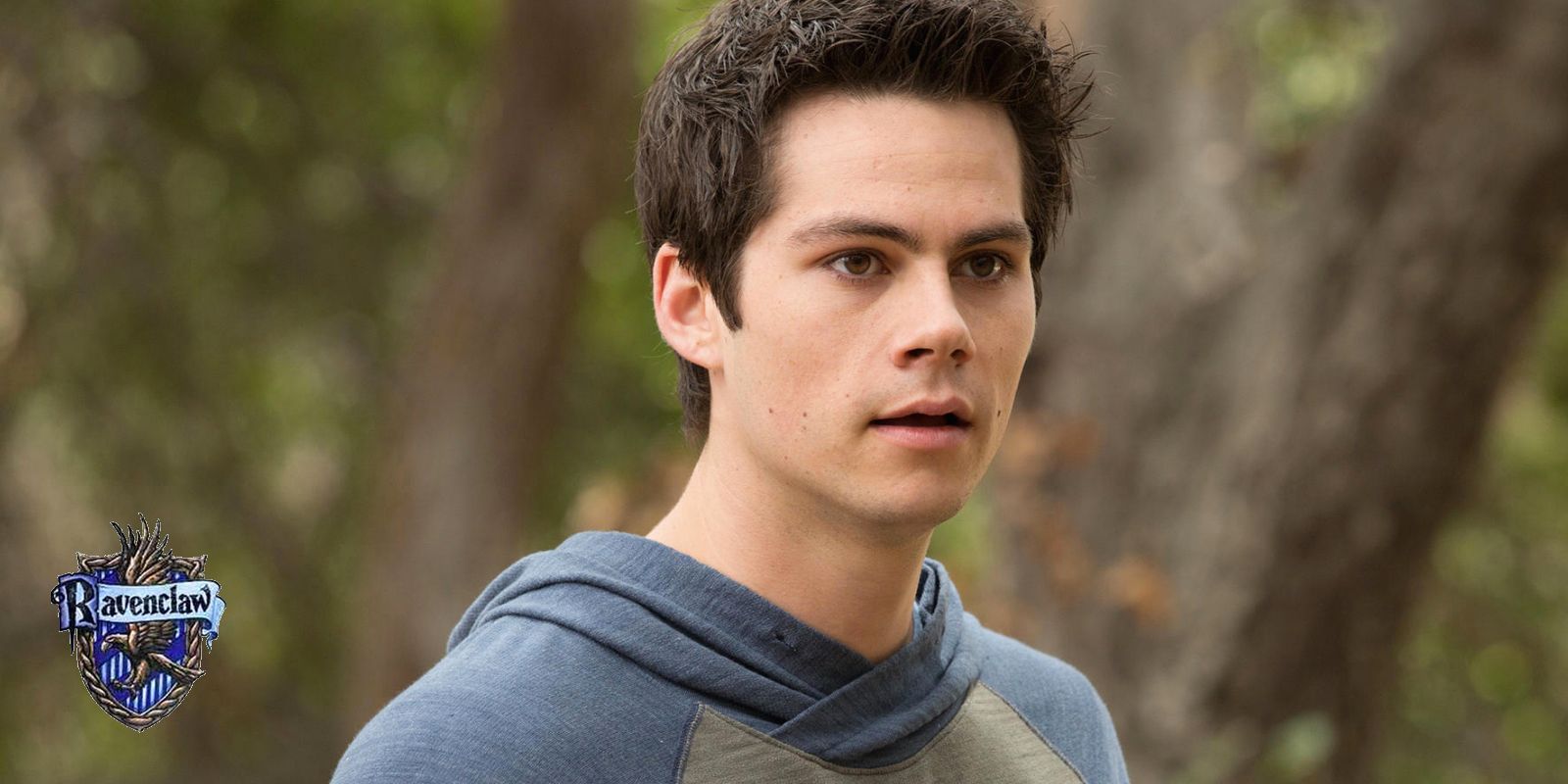 Teen Wolf Characters Sorted Into Hogwarts Houses