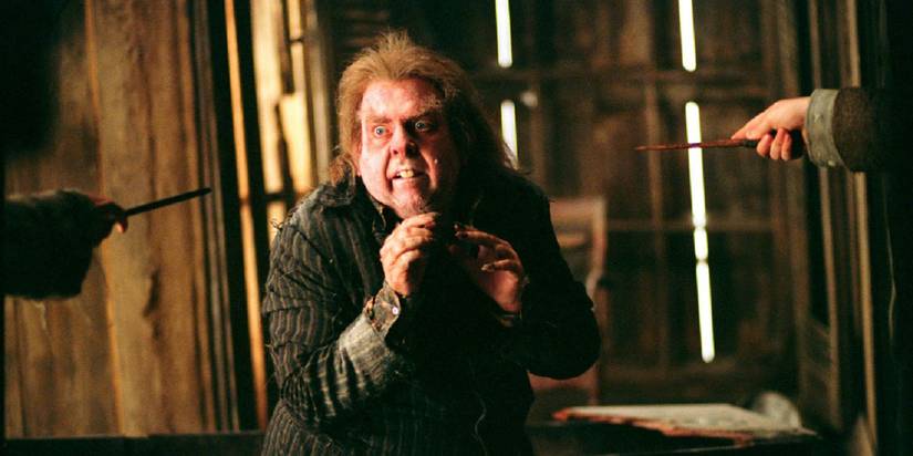 Harry Potter: Everything You Need to Know About Peter Pettigrew