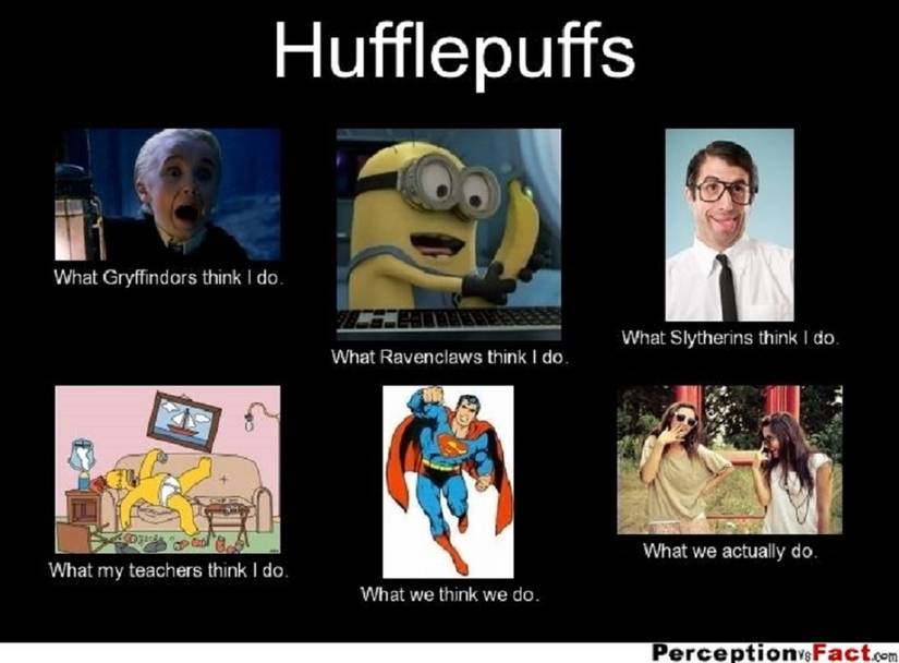 Harry Potter: 10 Ravenclaw Vs. Hufflepuff Memes That Are Too Hilarious ...