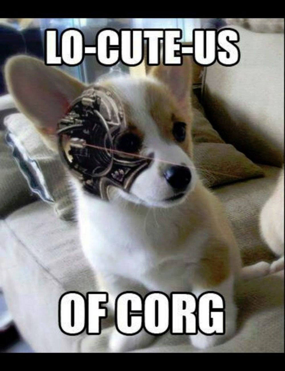 Star Trek: 10 Borg Memes That Are Too Funny