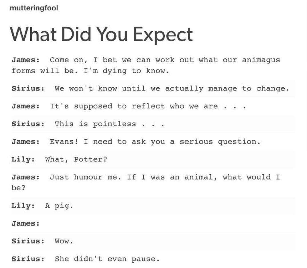 Harry Potter: 10 Hilarious Marauders Memes Only True Fans Will Understand