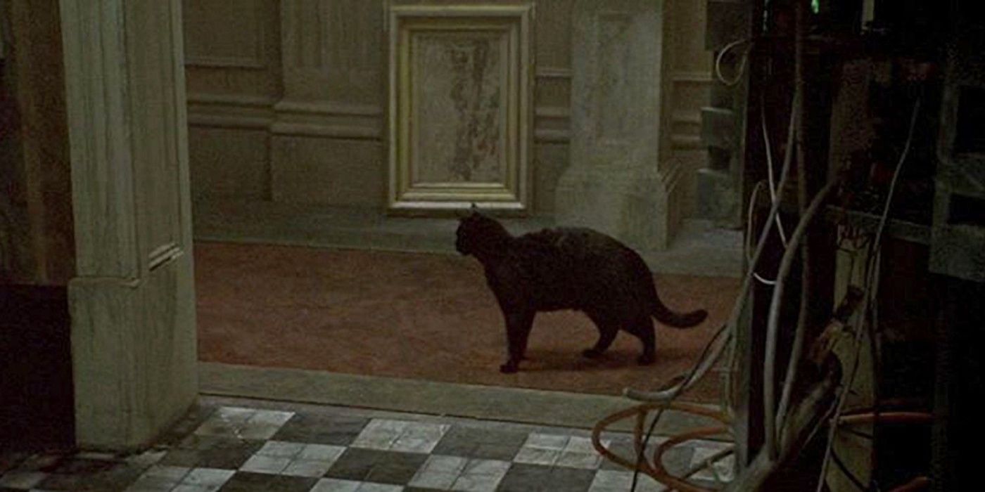 10 Hidden Details You Completely Missed In The Matrix Revolutions