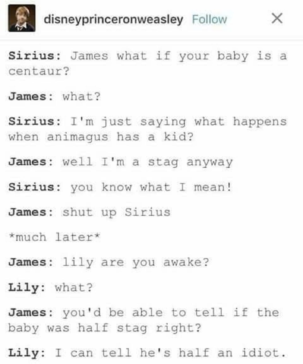 Harry Potter: 10 Hilarious Marauders Memes Only True Fans Will Understand