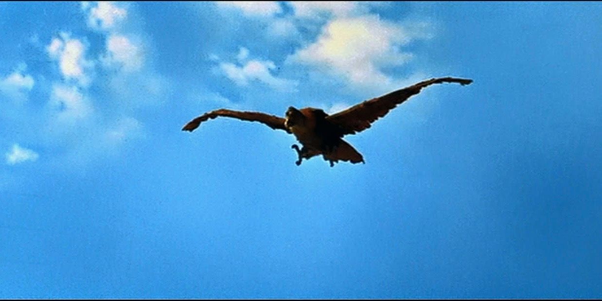 5 Monsters We Need To See In Godzilla Vs Kong (& 5 We Don’t)