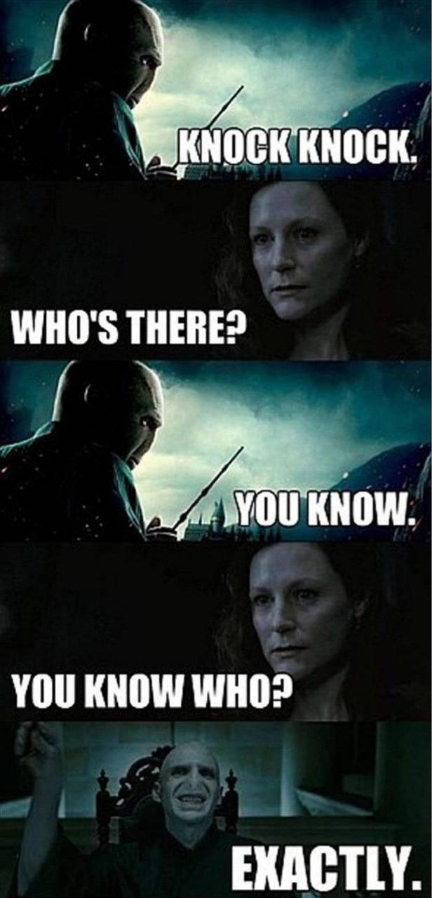 Harry Potter: 10 Hilarious Voldemort Memes Only True Fans Will Understand