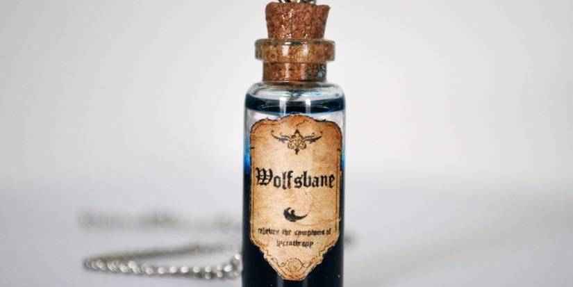 Harry Potter: The 10 Most Difficult Potions To Make