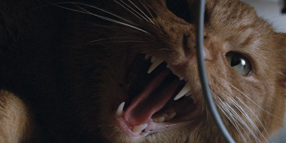 15 Hidden Details Everyone Missed In The Original Alien