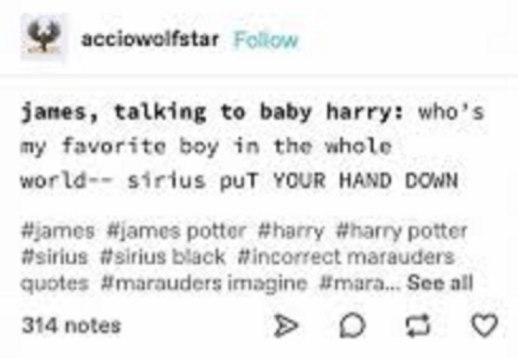 Harry Potter: 10 Hilarious Marauders Memes Only True Fans Will Understand