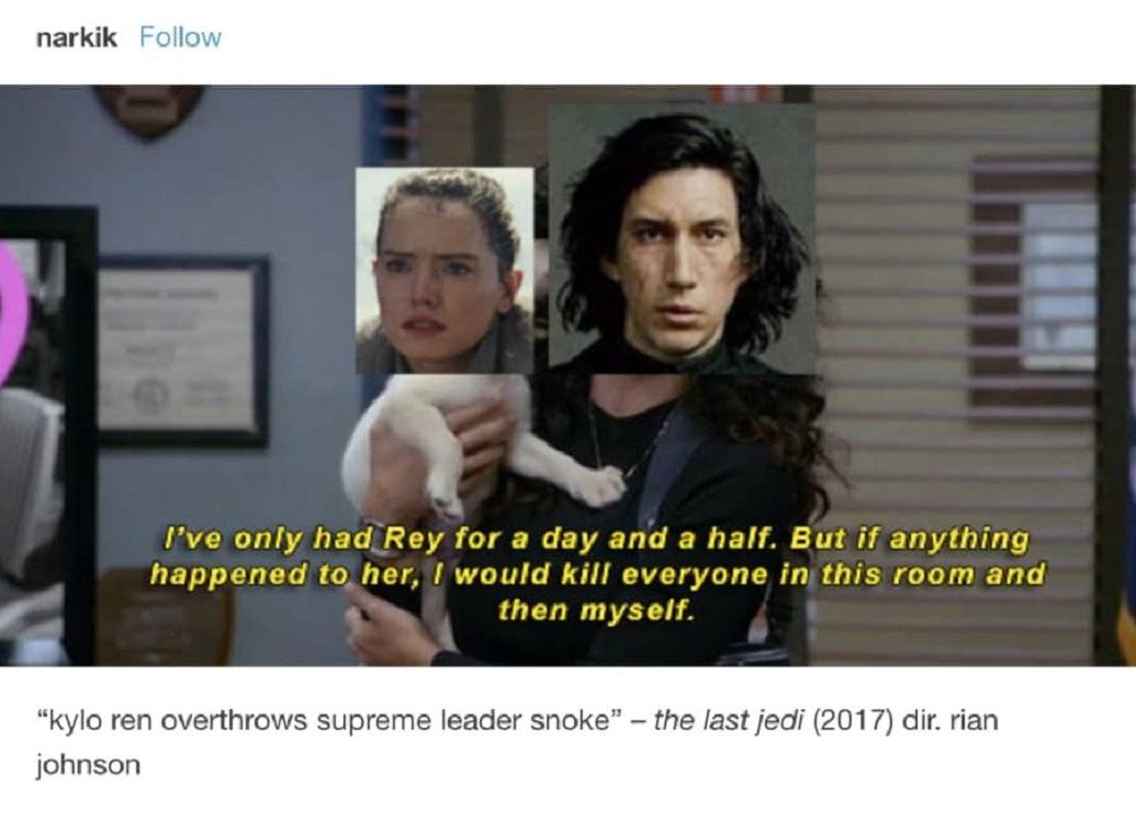 Star Wars: 10 Hilarious Reylo Memes That Will Have You Crying Of Laughter