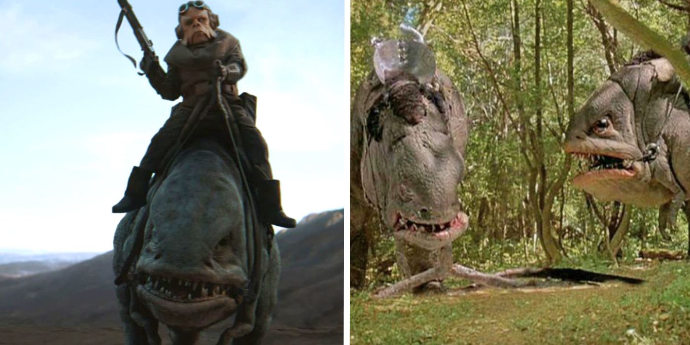 Every New Star Wars Creature In The Mandalorian