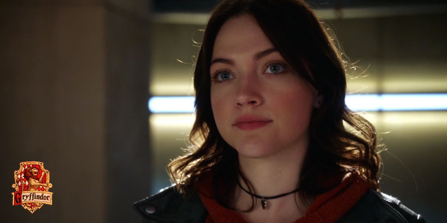 Hogwarts Houses Of The Flash Characters