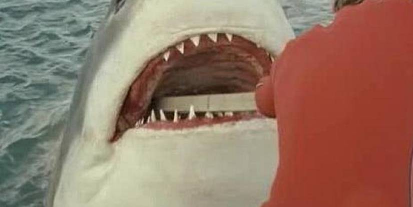 Cruel Jaws: The Unofficial Jaws 5 Sequel Explained